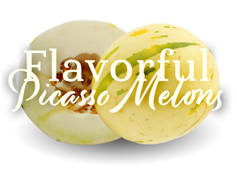 Fresh Picasso Melons - Majesty - Five Crowns Marketing